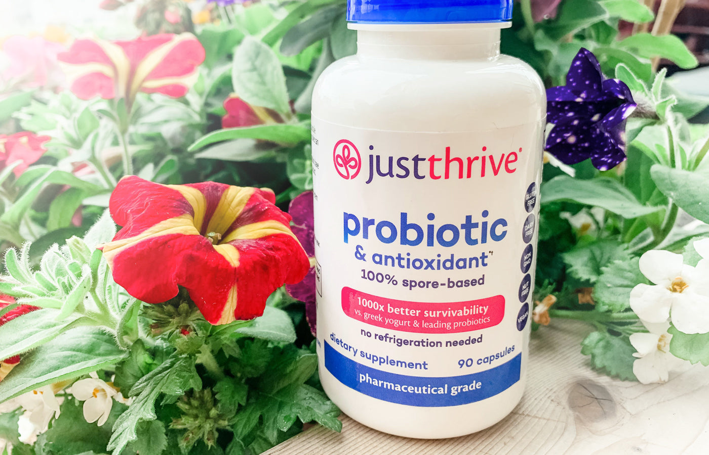 The Secret To Getting The Best Antioxidant Protection for Your Eyes, H ...