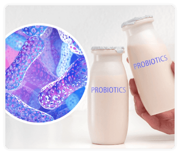 Probiotic – Just Thrive