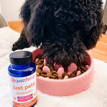 Just Pets Probiotic – Just Thrive